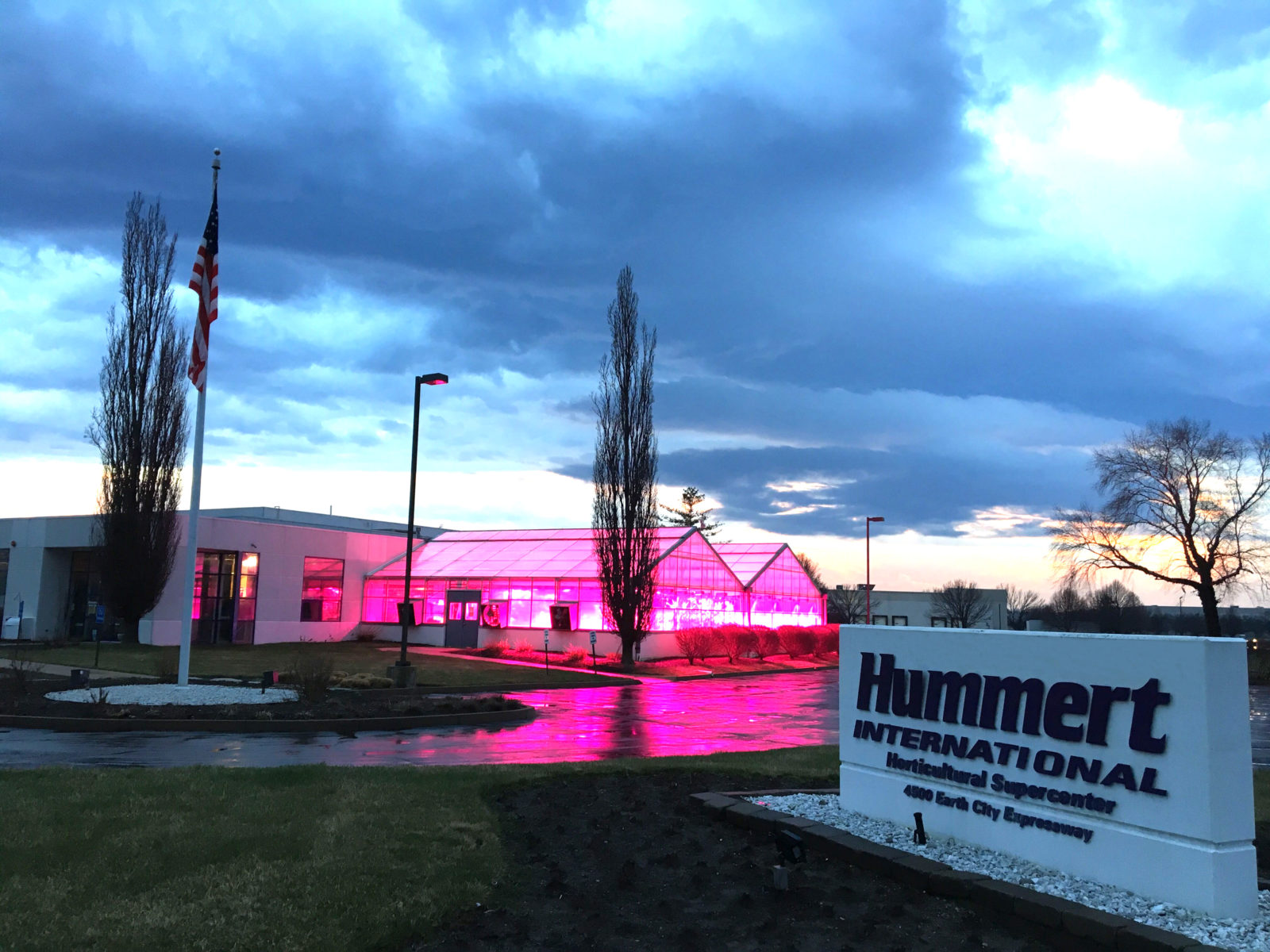 Hummert International’s Roots in SAP Business One Drive Digital ...